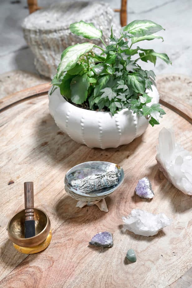 Crystals for Plants: 11 Healing Crystals for Indoor Plants