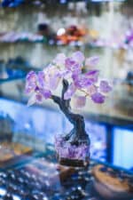 3 Must-Use Tips for Making a Feng Shui Gem Tree Work for You