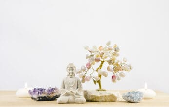 3 Must-Use Tips for Making a Feng Shui Gem Tree Work for You