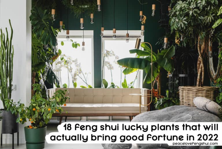 18 Feng Shui Lucky Plants That Will Actually Bring Good Fortune in 2024