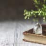 19 Crystals for Work: These are the Best Crystals for the Workplace