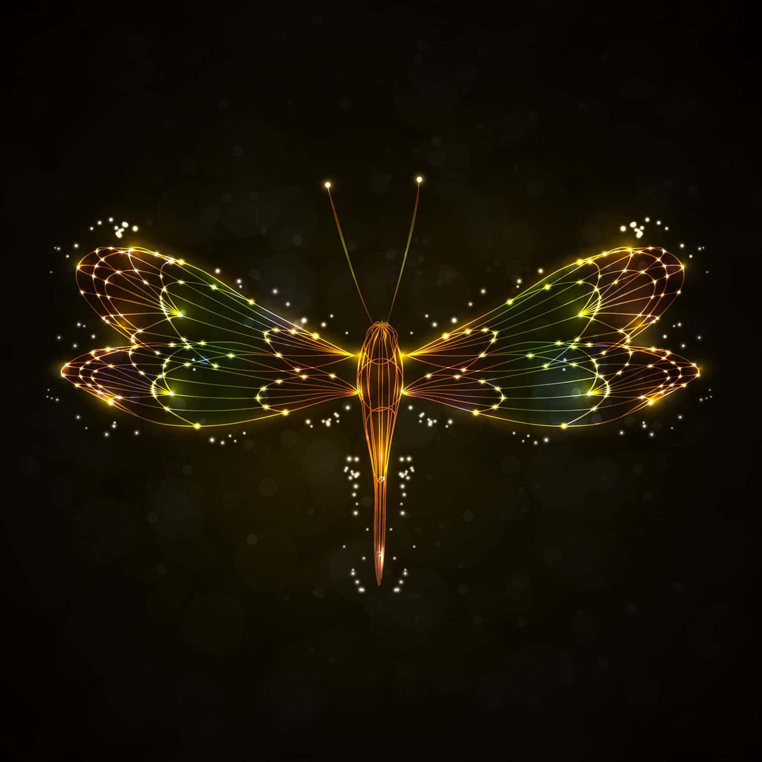 Dragonfly Symbol in Feng Shui (Spiritual Meaning & Placement)