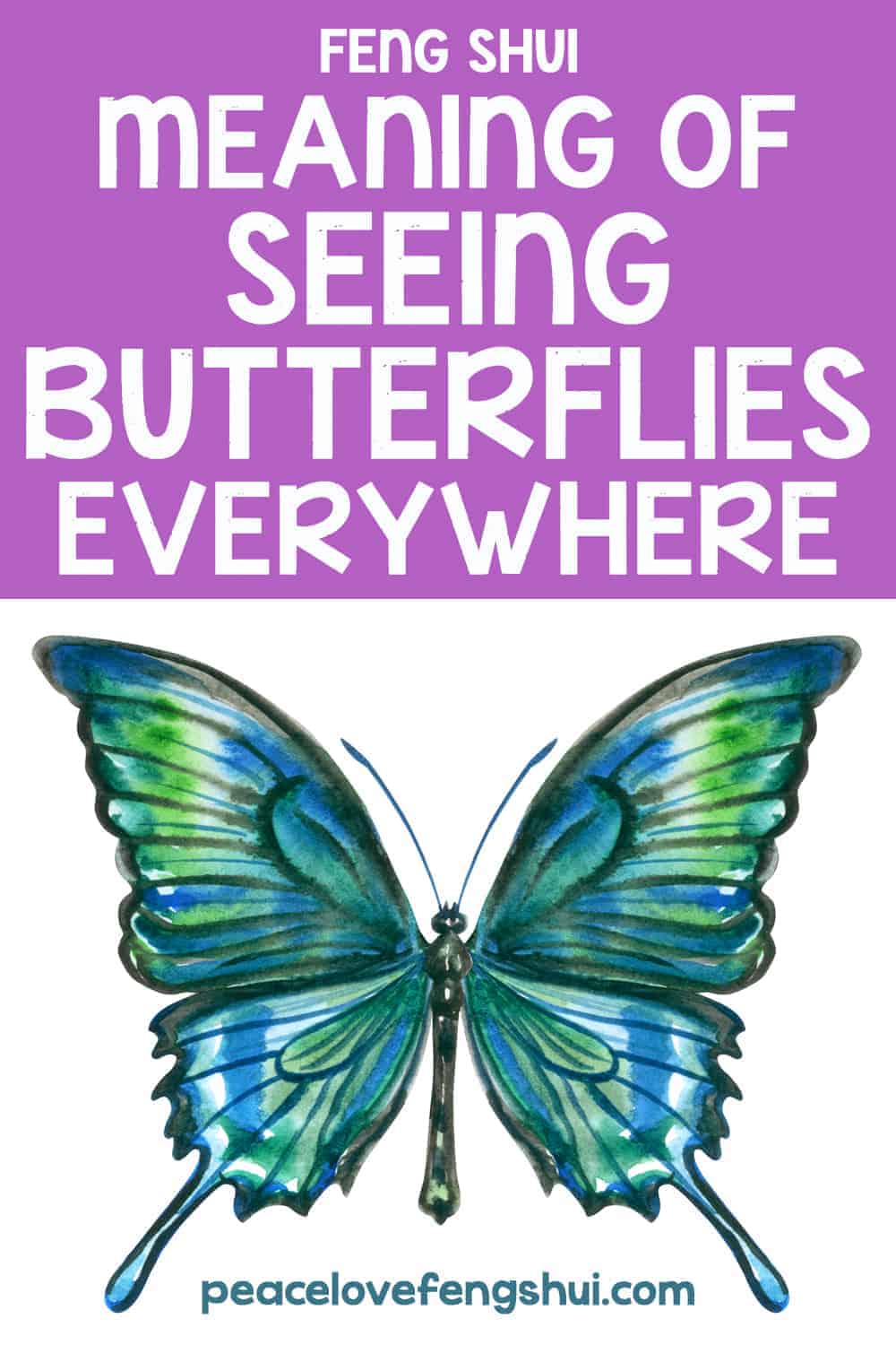 Feng Shui Butterfly Meaning (Symbolism, Uses, & Placement!)