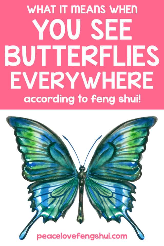 Feng Shui Butterfly Meaning (Symbolism, Uses, & Placement!)