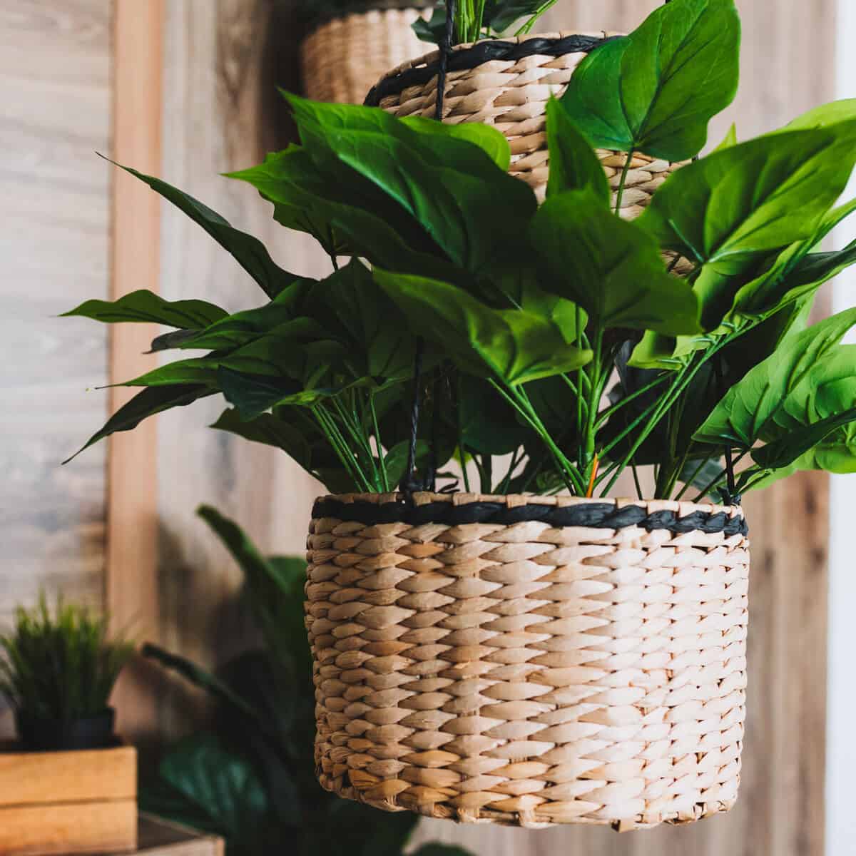 the feng shui wealth colors that boost abundance and prosperity (how to ...