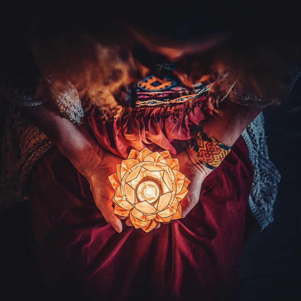 Feng Shui Lotus Flower: Meaning, Uses, Symbolism, & Placement!