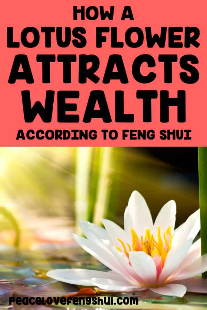 Feng Shui Lotus Flower: Meaning, Uses, Symbolism, & Placement!