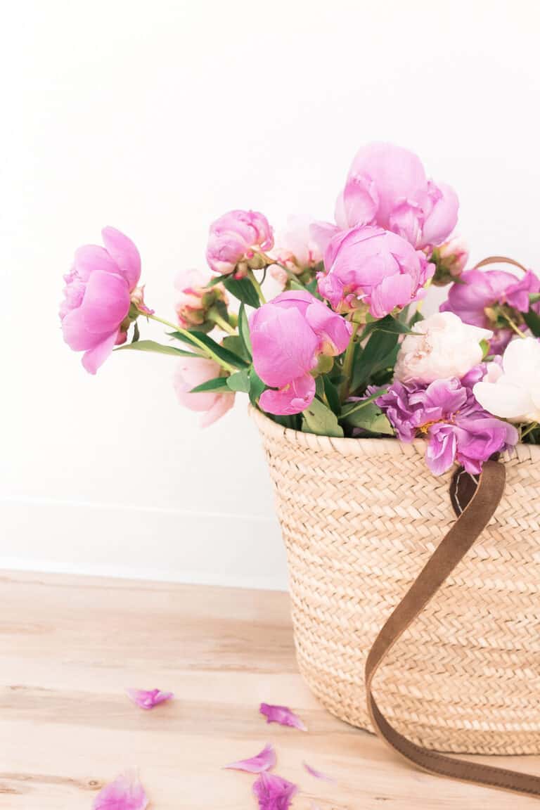 Feng Shui Purse Tips for Wealth and Good Fortune in 2024!